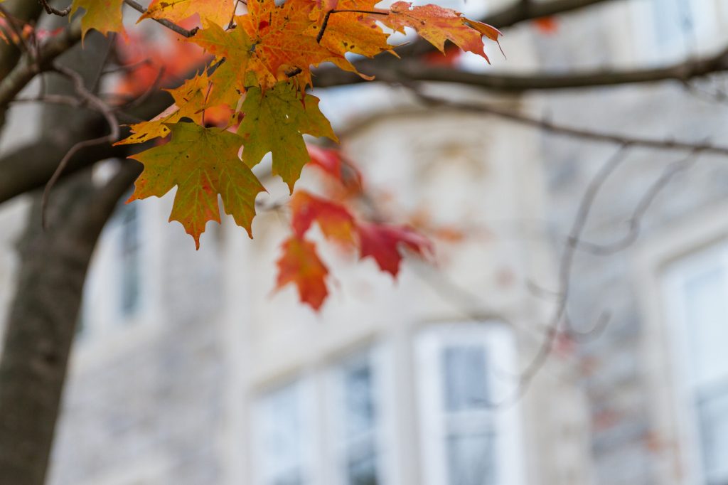 Email Signatures | ExperienceVT | Virginia Tech